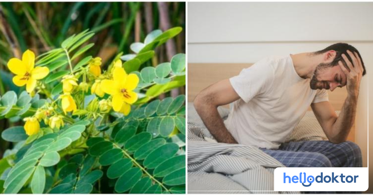 Daun Sanna Untuk Cuci Perut Akibat Sembelit? Baca Dulu Sebelum Ambil