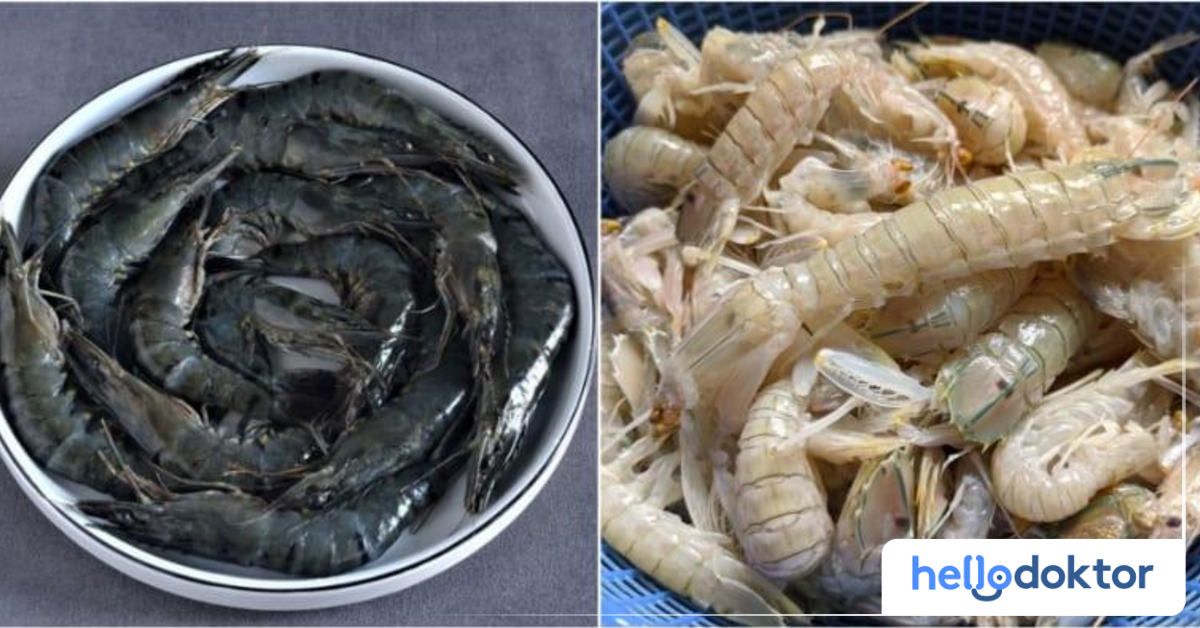 Cara Siang Udang Yang Betul Ikut Saiznya! Ekstra: Tip Siang Udang Lipan