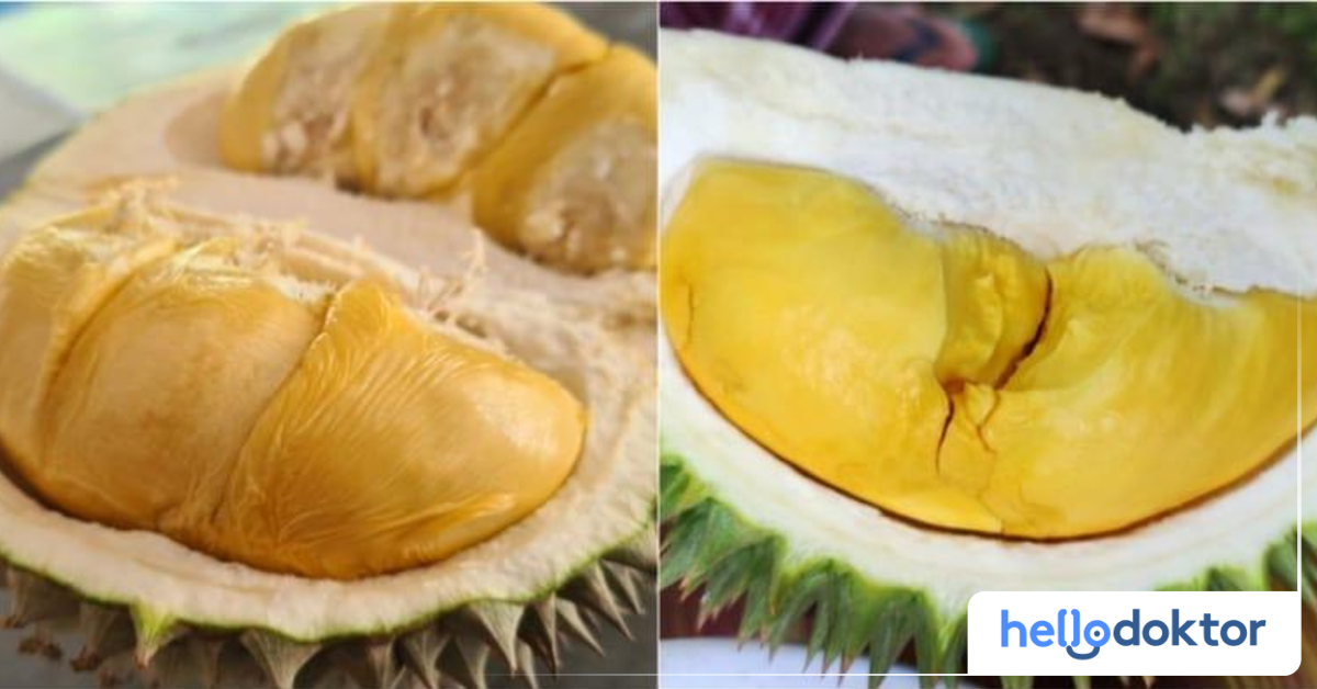 Jenis Durian Di Malaysia: Ini 6 Jenis Durian Paling Popular Di Malaysia!