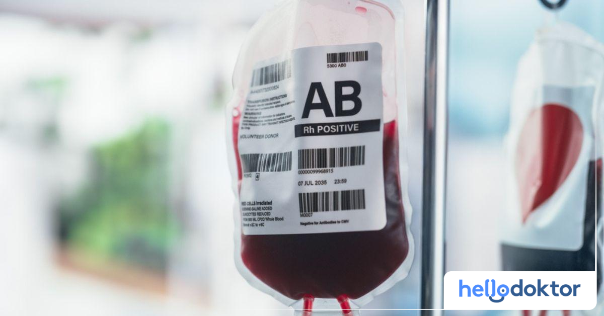 Darah Manusia: Fahami Bagaimana Ia Terhasil & Fungsinya - Hello Doktor