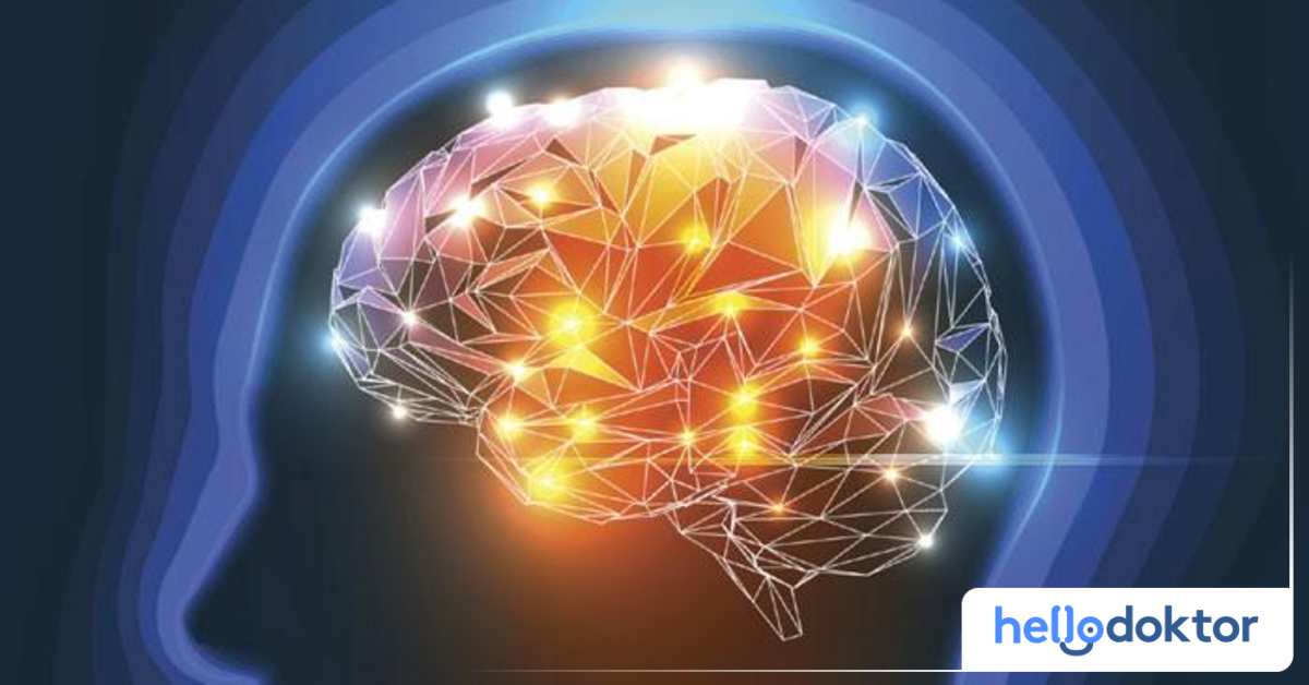 Memahami Bagaimana Otak Berfungsi - Hello Doktor